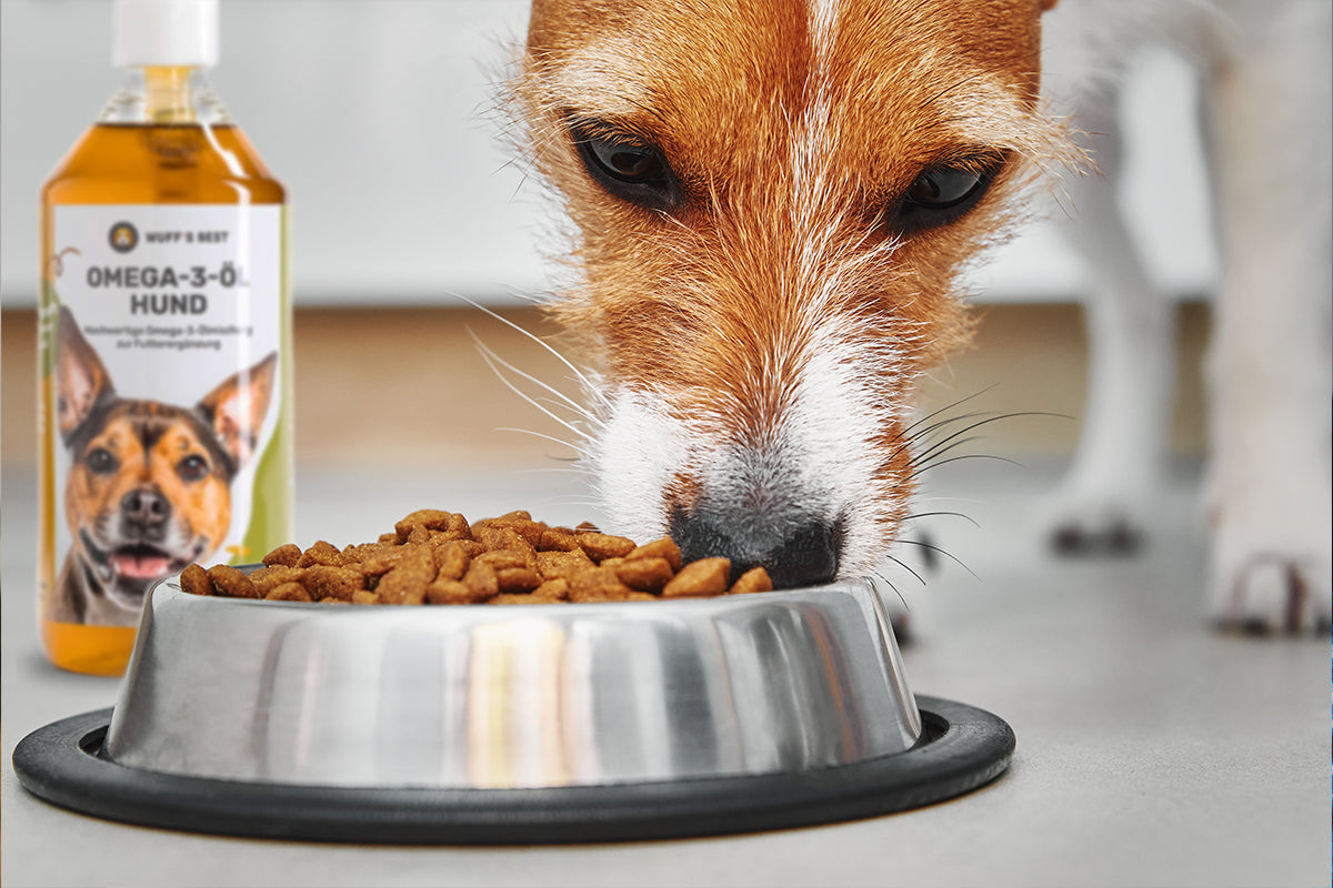 Futteröle für Hunde zur Gesundheitsförderung – Wuff's Best