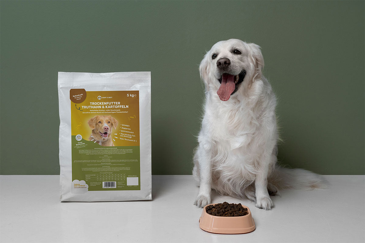 Hypoallergenes Hundefutter für sensible Hunde – Wuff's Best