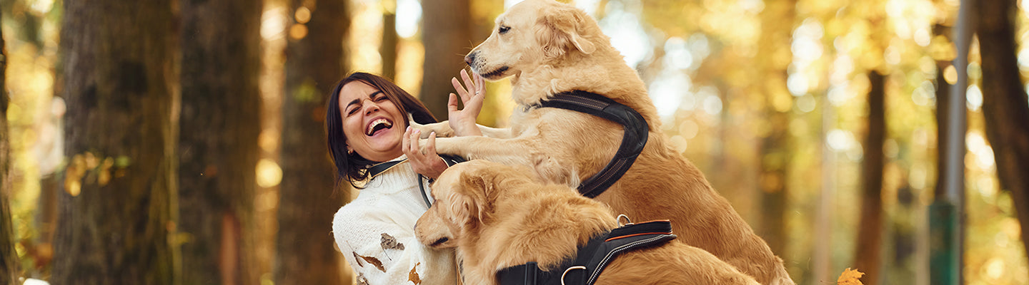 Produktübersicht unseres Shops - Produkte für Hunde – Wuff's Best